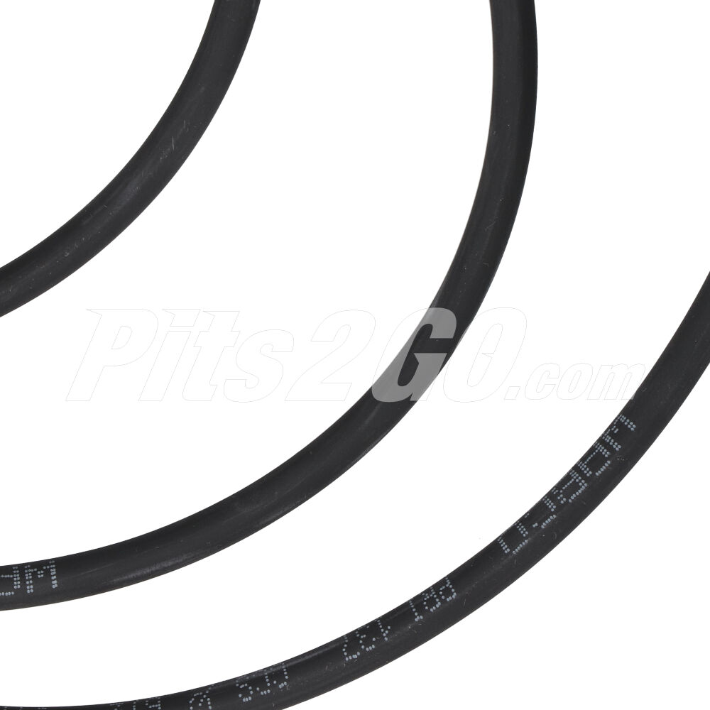 Pits2GO: Siempre en movimiento con Pist2go.com