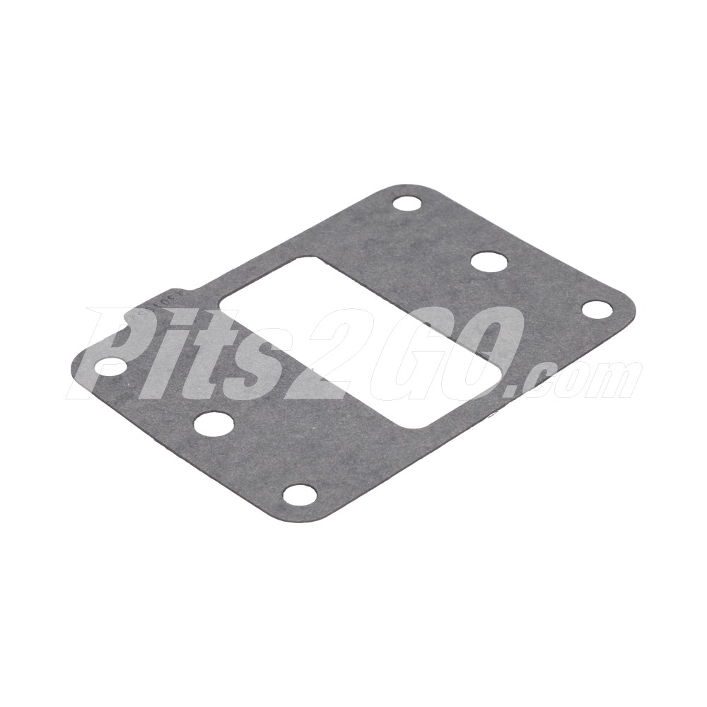 Pits2GO: Siempre en movimiento con Pist2go.com