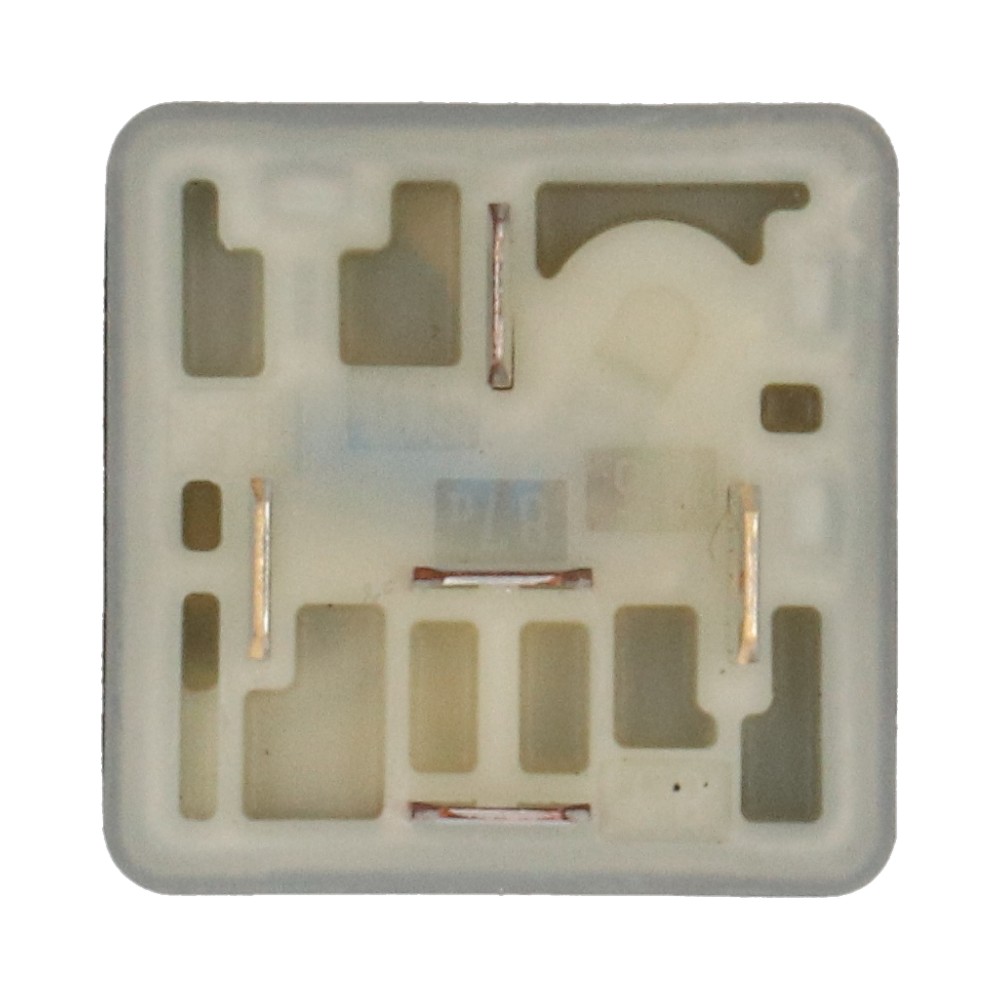 Pits2GO: Siempre en movimiento con Pist2go.com